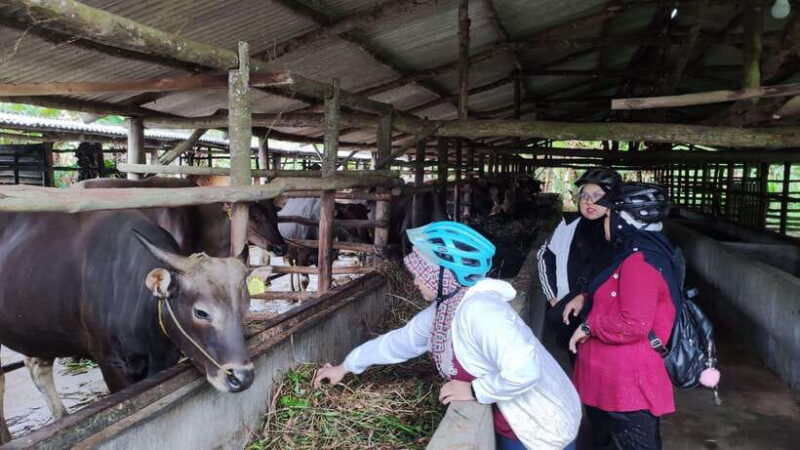 Half Day ATV Tour De Village By D'Bamboo Kamp - Authenticity & Visitor Feedback
