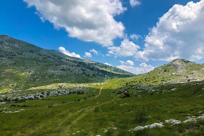 Half Day ATV Tour From Split - Customer Feedback and Reviews