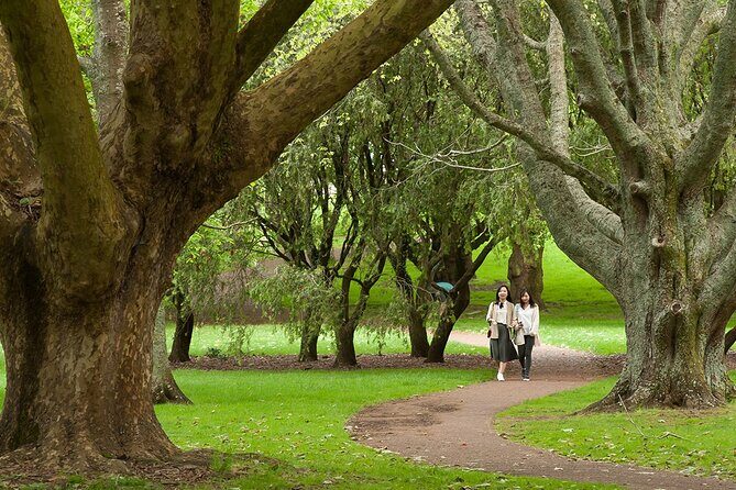 Half-Day Auckland City Sightseeing Small Group Tour - An In-Depth Look at the Tour Itinerary