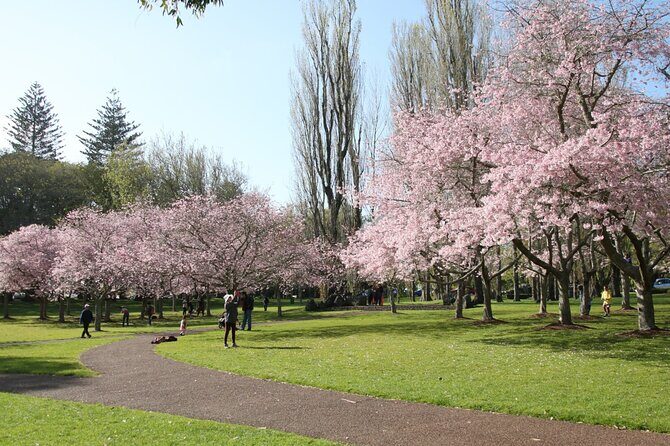 Half-Day Auckland City Sightseeing Small Group Tour - Who Should Consider This Tour?