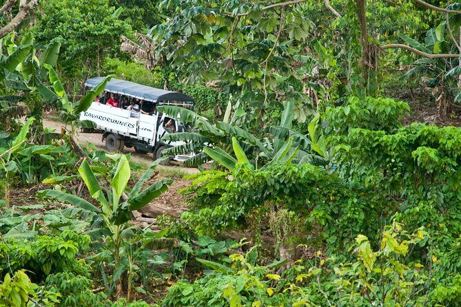 Half-Day Authentic Safari and Traditional Combo - An Honest Look at the Tour Experience