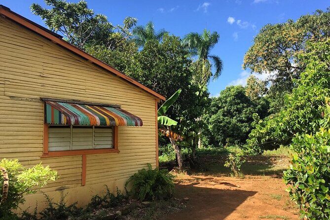 Half-Day Authentic Safari and Traditional Combo - Pricing and Value