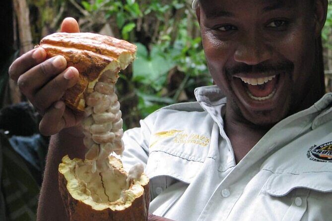 Half-Day Authentic Safari and Traditional Combo - What Travelers Are Saying