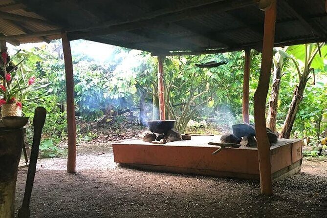 Half-Day Authentic Safari and Traditional Combo - Who Will Love This Tour?