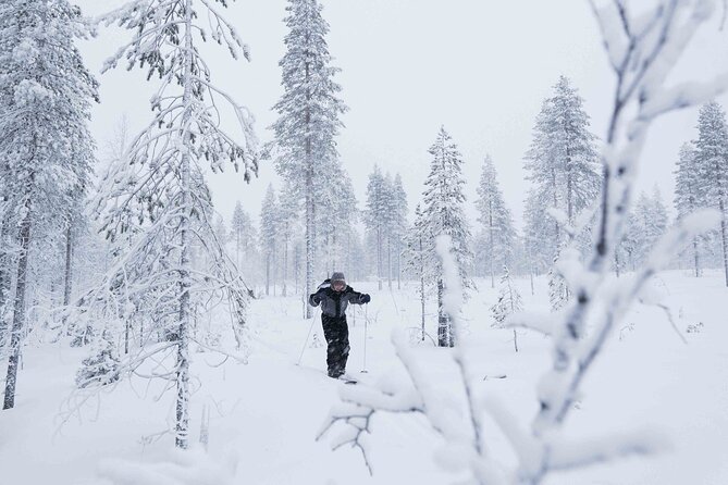 Half-Day Backcountry Skiing Tour in Levi with Photography Guide - What’s Included and How it Works