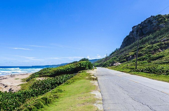 Half-Day Barbados Caves and Critters Tour with Pick Up - Frequently Asked Questions