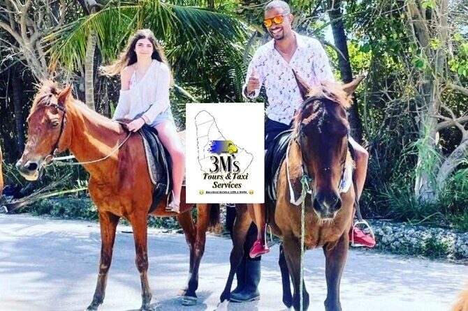 Half-Day Barbados Private Guided Customized Island Tours - Who Will Love This Tour?