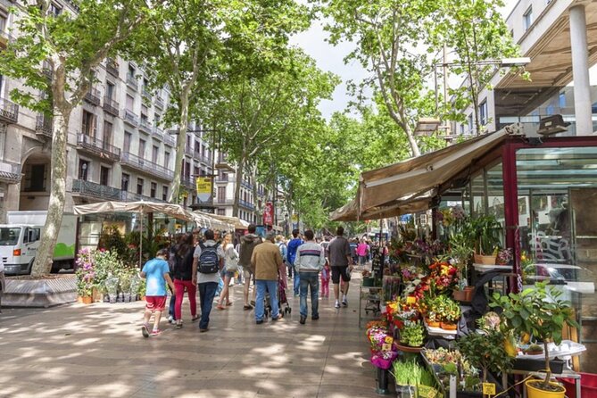 Half Day Barcelona Private Walking Tour - Key Points