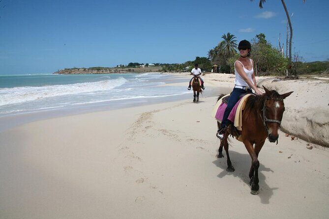 Half-Day Beach Horse Back Riding in Puerto Plata - The Ride: What to Expect