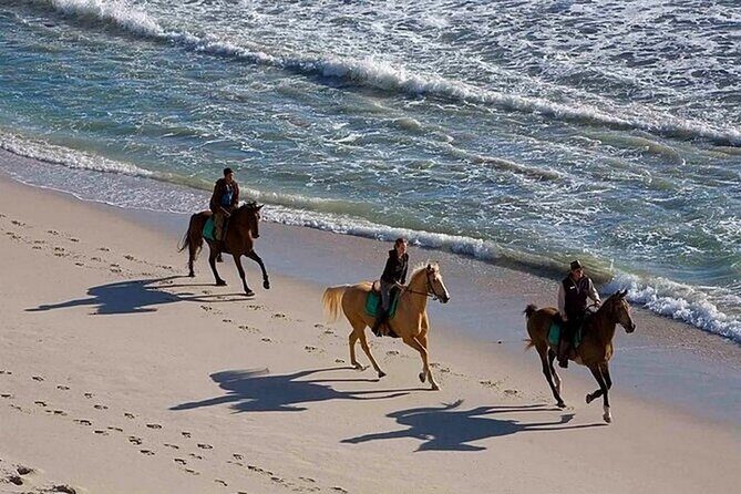Half-Day Beach Horse Back Riding in Puerto Plata - Value and Pricing