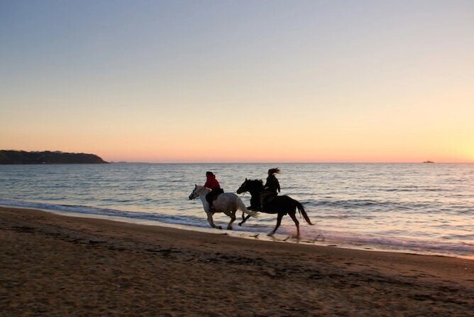 Half-Day Beach Horse Back Riding in Puerto Plata - Practical Details and Logistics