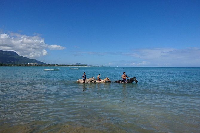 Half-Day Beach Horse Back Riding in Puerto Plata - FAQ