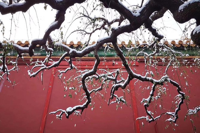 Half Day Beijing Group Tour to Tiananmen Square and Forbidden City - Detailed Breakdown of the Itinerary