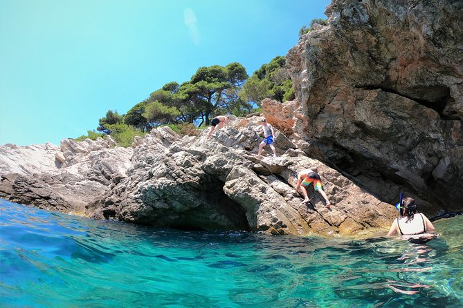 Half-Day Best Beaches & Bays Tour Review - Traveler Reviews and Recommendation