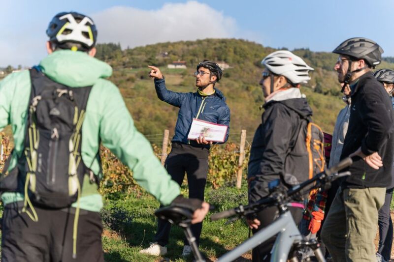 Half day bike guided in Beaujolais - Mont Brouilly and wine - Exploring Beaujolais by Bike: An Authentic Taste of French Wine Country