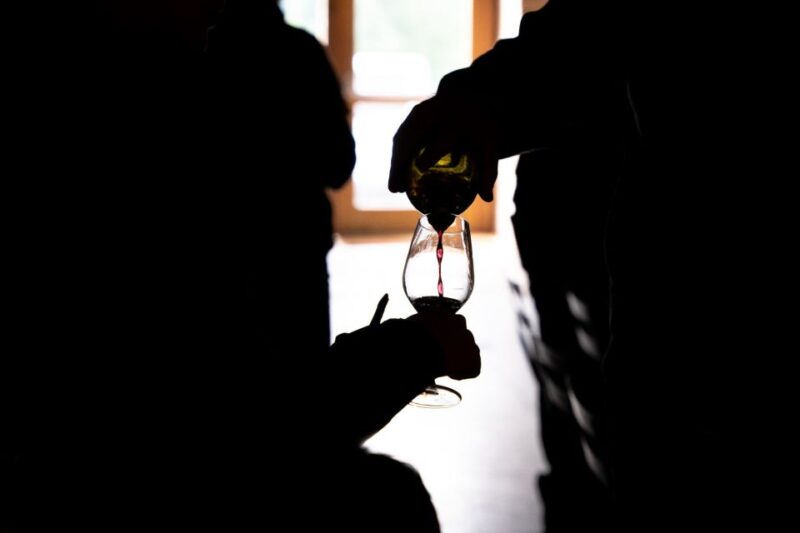 Half day bike guided in Beaujolais - Mont Brouilly and wine - The Sum Up: An Authentic Taste of Beaujolais