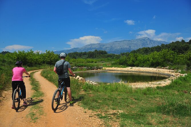 Half-Day Bike Tour in Lumbarda With Wine Tasting - Customer Reviews