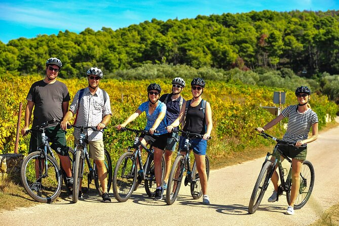 Half-Day Bike Tour in Lumbarda With Wine Tasting - Wine Tasting and Local Delicacies