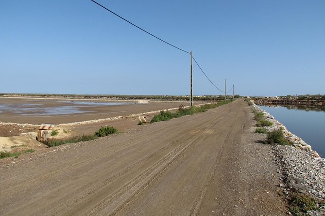 Half-day birdwatching around Tavira - Introduction: A Birding Adventure Near Tavira