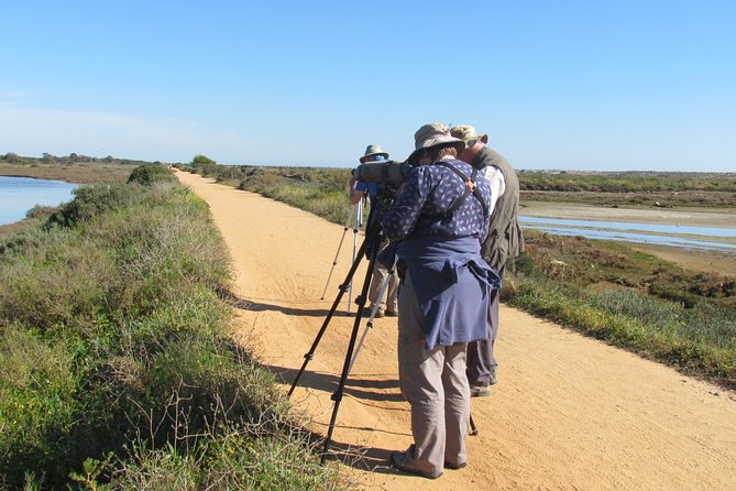Half-day birdwatching around Tavira - FAQ