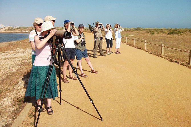 Half-day birdwatching at Alvor dunes - Key Points