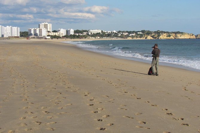 Half-day birdwatching at Alvor dunes - Why This Tour is Worth Considering