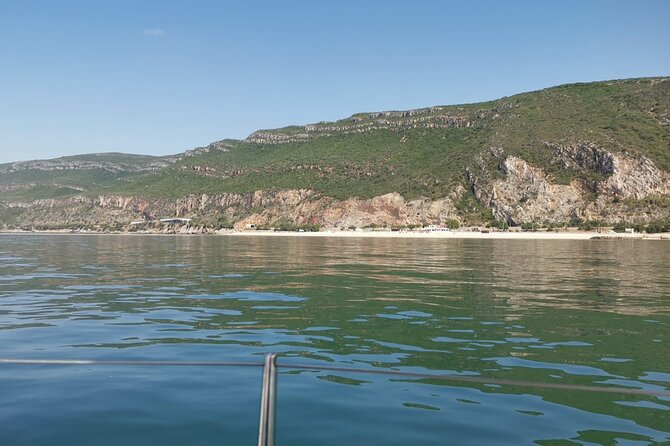 Half-Day boat experience - Comporta - Troia - Setubal - Who Will Love This Tour?