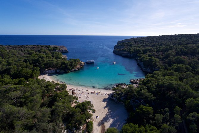 Half-Day Boat Tour along The South Coast of Menorca - Who Will Love This Tour?