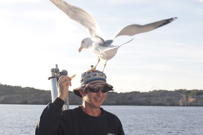 Half-Day Boat Tour along The South Coast of Menorca - Practical Tips for Travelers