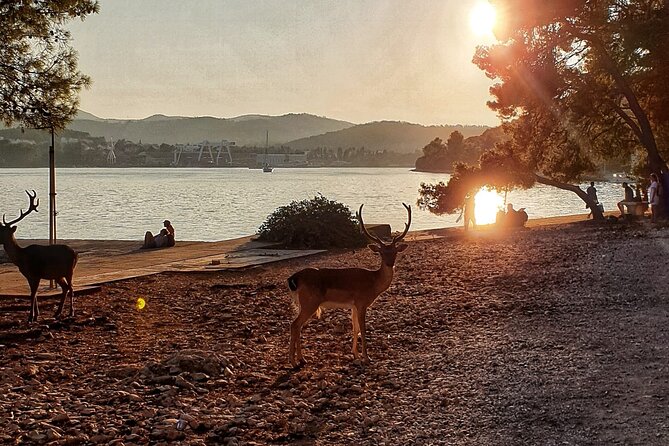 Half-Day Boat Tour Korcula Archipelago Review - Positive Traveler Feedback