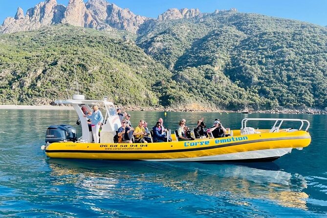 Half Day Boat Trip to Scandola Calanche De Piana - Itinerary and Highlights