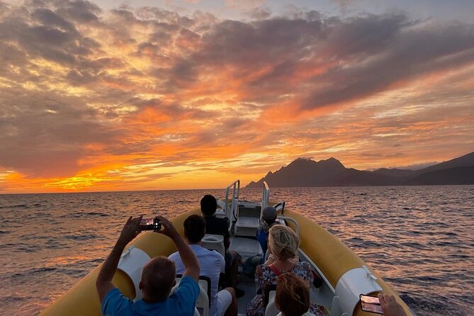 Half Day Boat Trip to Scandola Calanche De Piana - Accessibility Considerations