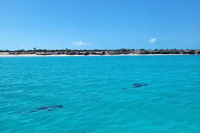 Half Day Bottom Fishing Private Charter - What You’ll Love About This Trip