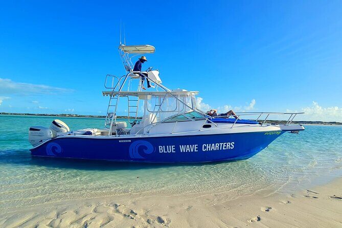 Half Day Bottom Fishing Private Charter - What About the Price?