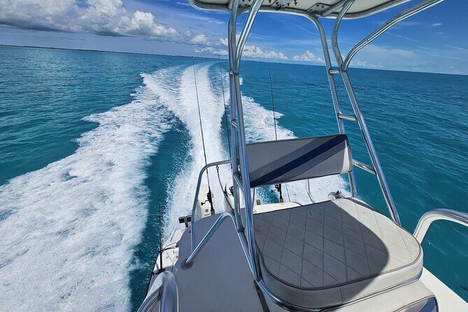 Half Day Bottom Fishing Private Charter - The Experience from Past Travelers