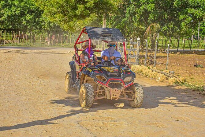 Half Day Buggy Adventure Through Punta Cana - A Balanced View: Pros and Cons