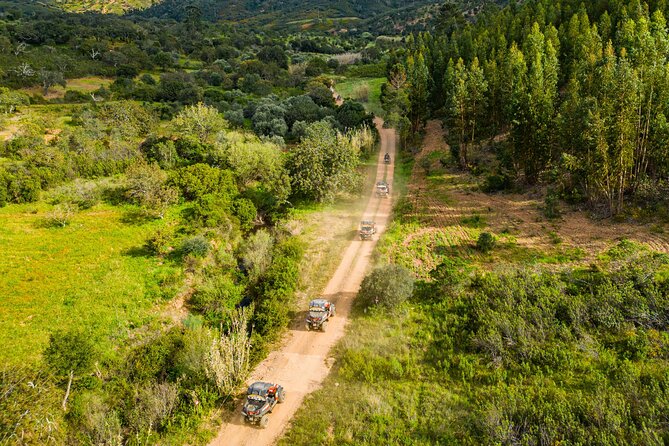 Half Day Buggy Driving and Tour in Algarve - Tips for an Enjoyable Tour