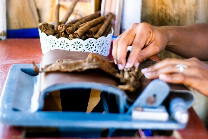 Half-Day Buggy Guided Adventure for Amber Cove and Taino Bay - The Food, Drinks, and Cultural Stops