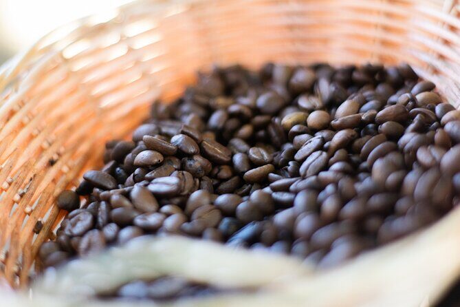 Half-Day Buggy Guided Adventure for Amber Cove and Taino Bay - Safety, Pricing, and Overall Value