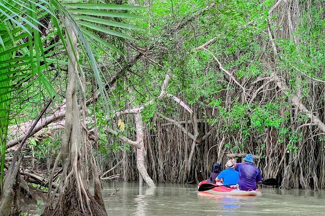 Half Day Canoe Boat Trip At Takuapa Little Amazon - Key Points