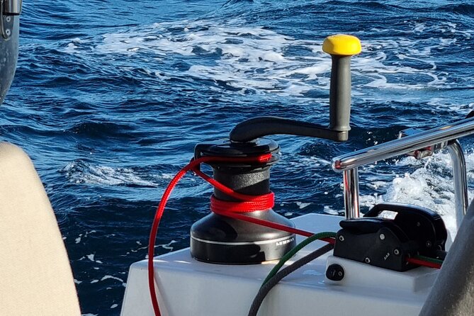 Half Day Catamaran Tour in Algarve - Lagos - Pricing and Value