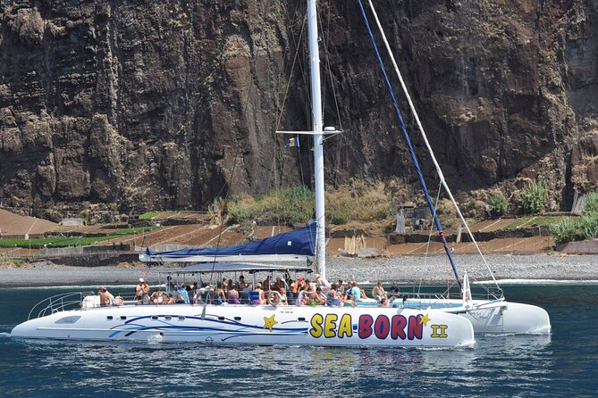 Half-day Catamaran Trip from Funchal - Key Points