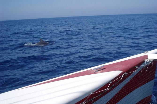 Half-Day Catamaran Trip in Menorca - Catamaran Features and Comfort