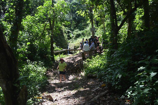 Half-Day Center of Puerto Rico Cultural Tour - Authentic Experiences and Highlights