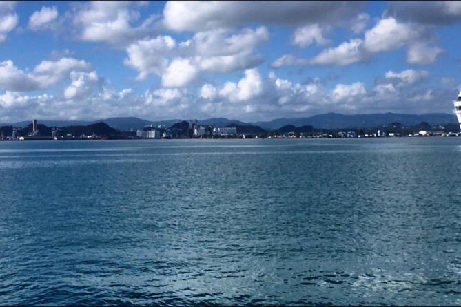 Half-Day Center of Puerto Rico Cultural Tour - Who’s This Tour Best For?