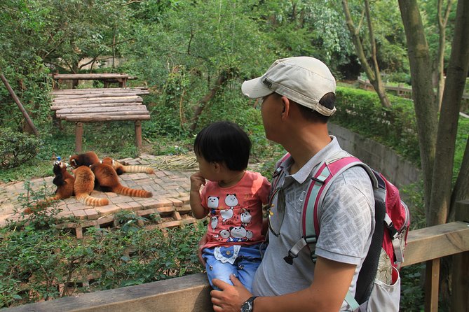 Half-Day Chengdu Panda Research Base Private Tour - Introduction: Making the Most of Chengdu’s Pandas
