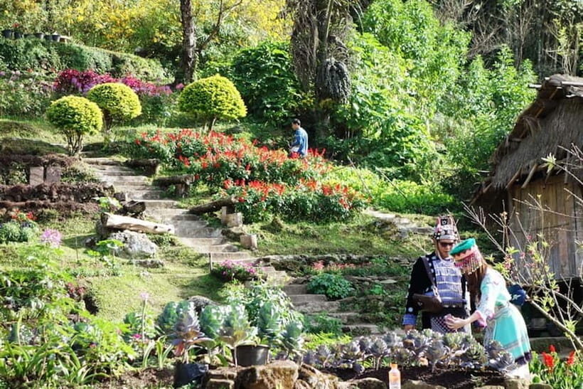 Half day Chiang Mai City tour - What to Expect from the Tour