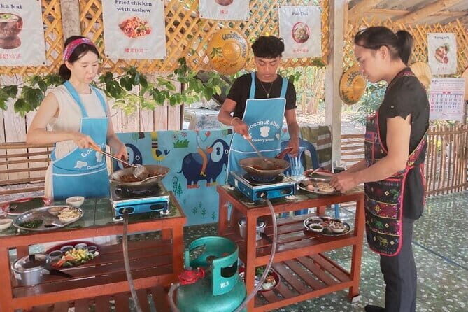 Half Day Chiang Mai Cooking Class and Market Taste Tour - Introduction
