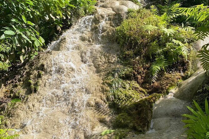 Half Day Chiang Mai Sticky Waterfall and Hotel Transfer - A Detailed Look at the Tour Experience