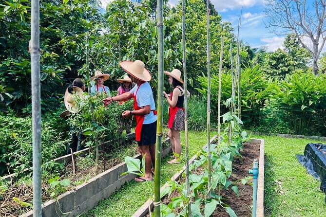 Half Day Chiang Mai Thai Cooking Class with Market & Farm - FAQ